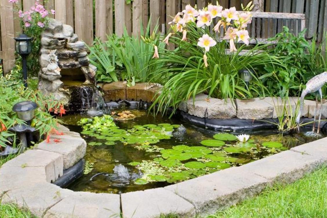 Apprenez à fabriquer un bassin aquatique pour sublimer votre extérieur