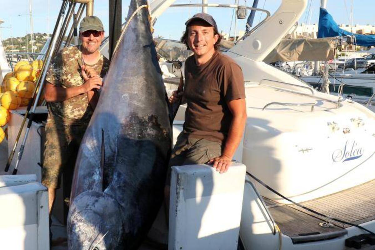 Deux Varois pêchent un thon rouge géant de plus de 250 kilos