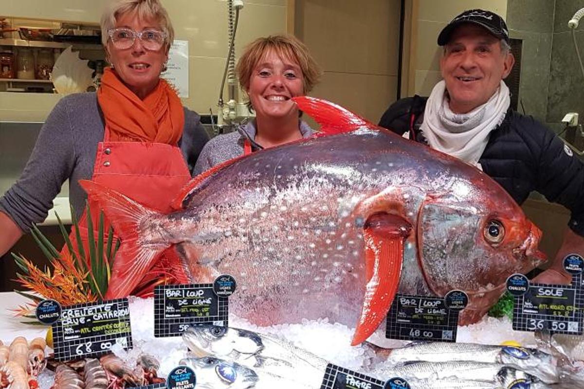 Un lampris royal de plus de 32 kilos s'invite sur l'étal de la Halle de ...
