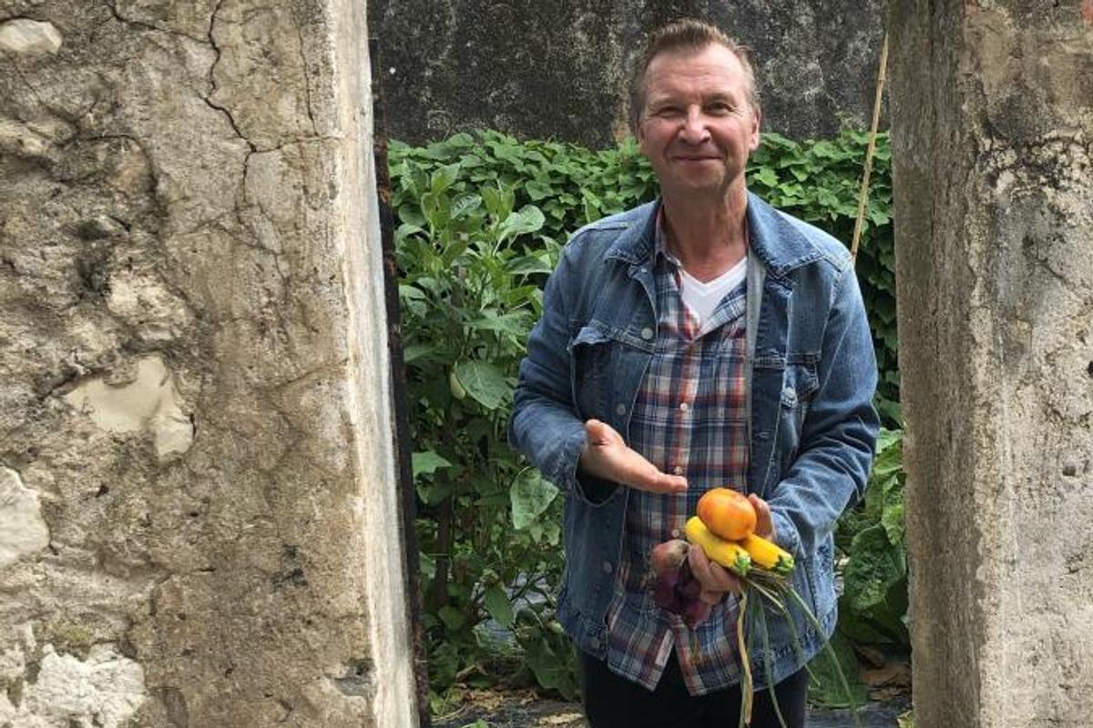 PHOTOS. Basilic marseillais, tomates ananas, oxalis pourpre ...