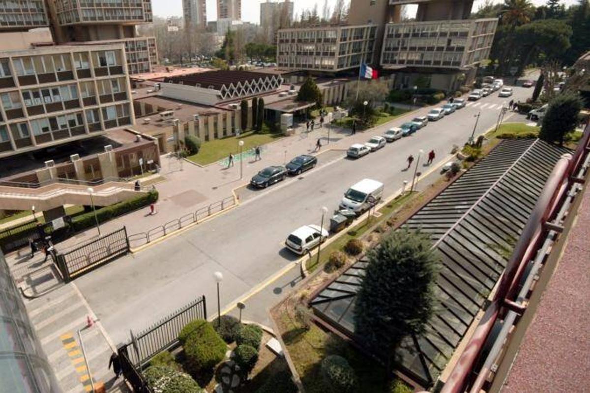 PHOTOS. Connaissez-vous l'histoire du Cadam de Nice, géant de papier(s)?