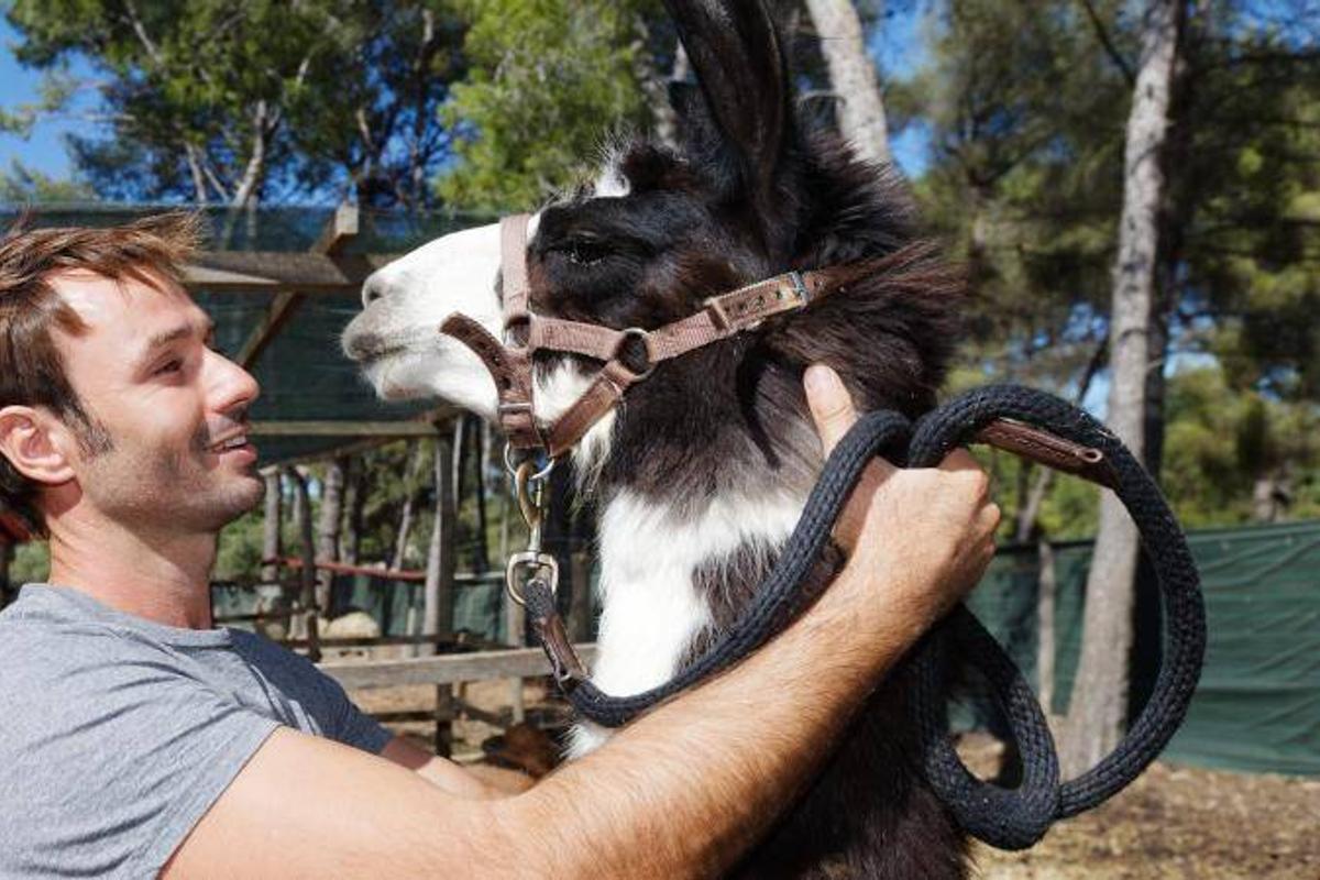 PHOTOS. On vous emmène dans le paradis des lamas... à Six-Fours