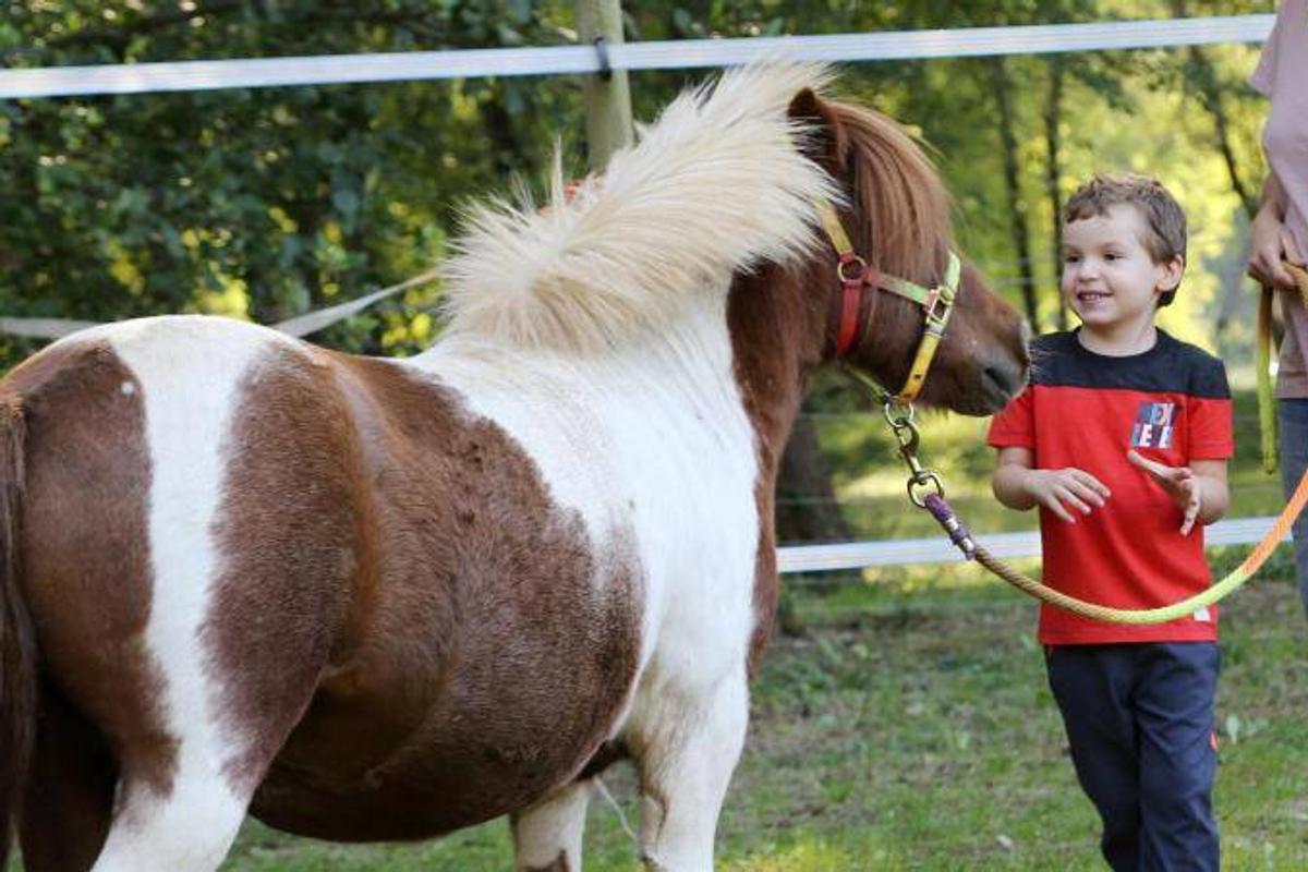 Le cheval comme thérapie pour adoucir le handicap
