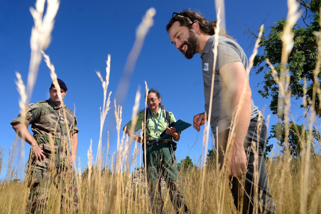 Ils ont trois ans pour inspecter les milliers d'hectares de Canjuers ...