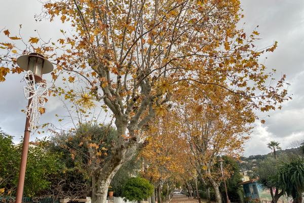 « On a immédiatement alerté l’INSEE » Au Cannet, la population bondit ...
