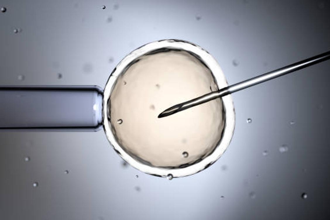 « Ayez le meilleur bébé » : cette start-up américaine propose aux ...